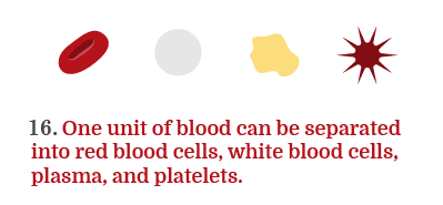 30 Fascinating Blood Facts | RRVBC